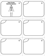 Bones and the Skeletal System Task Cards | Teaching Resources