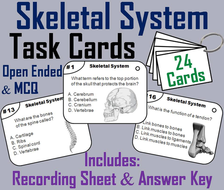Bones and the Skeletal System Task Cards | Teaching Resources