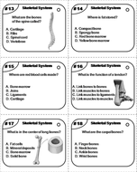 Bones and the Skeletal System Task Cards | Teaching Resources