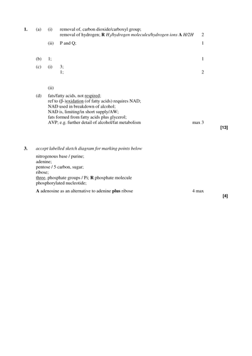 A2 Respiration (SNAB) | Teaching Resources