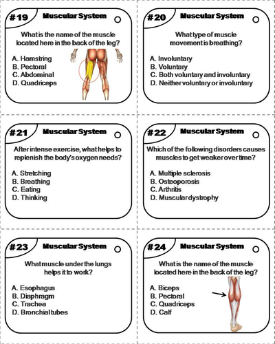 Muscles and Muscular System Task Cards | Teaching Resources