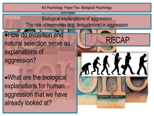 Hormones and Aggression. Biological Psychology. | Teaching Resources