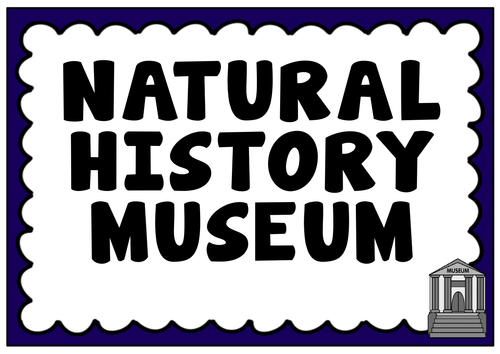 MUSEUM ROLE PLAY SHOP TEACHING RESOURCES KS1 KS2 HISTORY SCIENCE ...