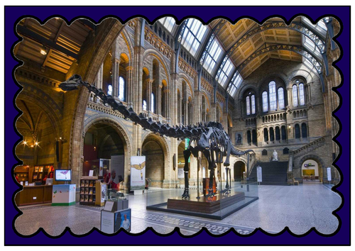 MUSEUM ROLE PLAY SHOP TEACHING RESOURCES KS1 KS2 HISTORY SCIENCE ...