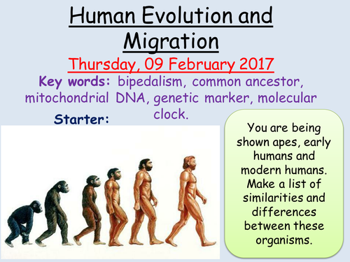 EdExcel B3- Topic 2 Behaviour- Human Evolution and Migration | Teaching ...