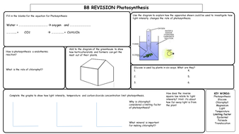 Photosynthesis revision mat | Teaching Resources