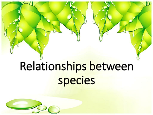 Biodiversity - Relationships between Species | Teaching Resources