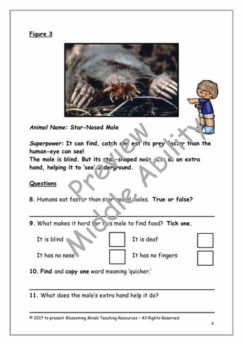 Animal Superpowers - SATs style comprehension - Year 2 | Teaching Resources