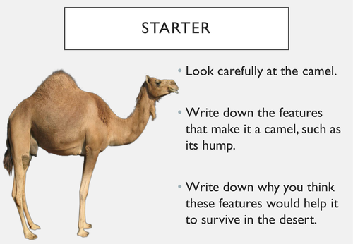 Charles Darwin and Natural Selection | Teaching Resources