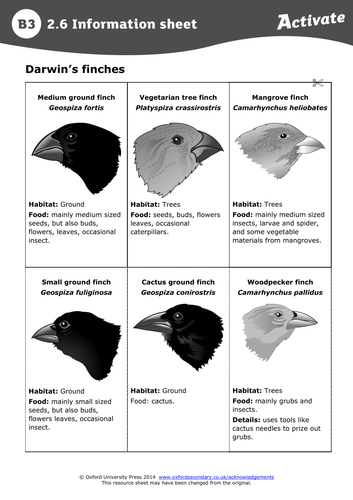 Charles Darwin and Natural Selection | Teaching Resources