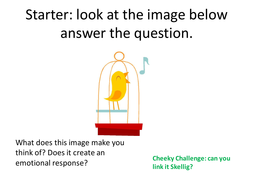 SKELLIG THEMES KS3 LESSON | Teaching Resources