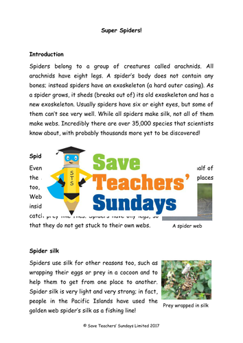 Spiders Non-fiction Text Comprehension / Guided reading (4 levels ...