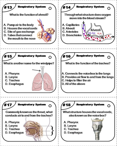 Respiratory System Task Cards | Teaching Resources