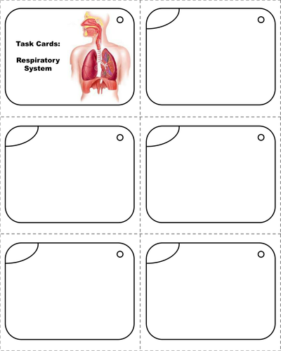 Respiratory System Task Cards | Teaching Resources