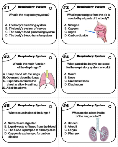 Respiratory System Task Cards | Teaching Resources