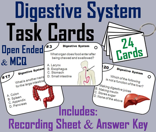 Anatomy Task Cards Bundle: Human Body Systems | Teaching Resources