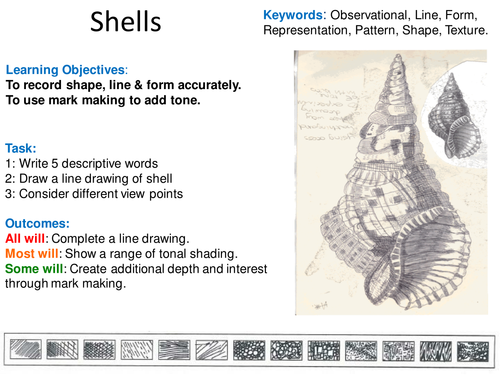 Shells, drawing and mark making | Teaching Resources