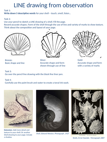 Shells, drawing and mark making | Teaching Resources