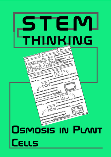 Osmosis in Plant Cells Biology Doodle Notes | Teaching Resources