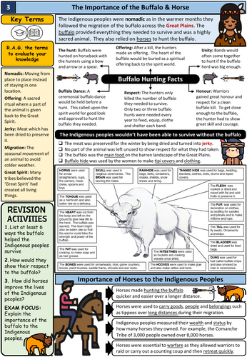 Buffalo Importance Indigenous Peoples - American West - GCSE History ...