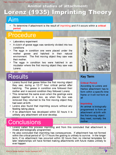 Poster - Attachment - Lorenz (1935) Imprinting Theory | Teaching Resources
