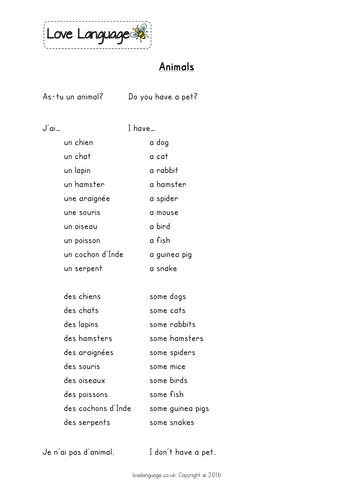 French pets vocabulary cards | Teaching Resources