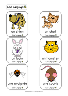 French pets vocabulary cards | Teaching Resources