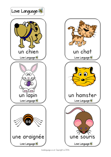 French pets vocabulary cards | Teaching Resources