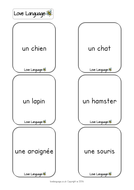 French pets vocabulary cards | Teaching Resources