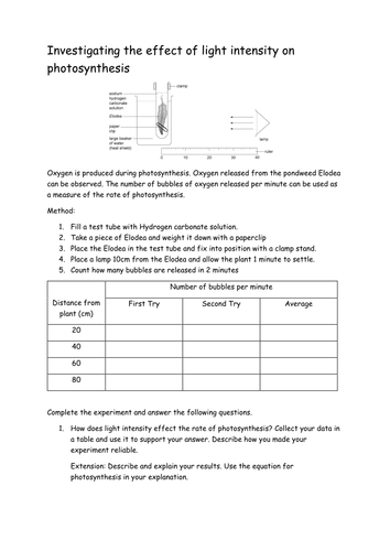 Photosynthesis limiting factors | Teaching Resources