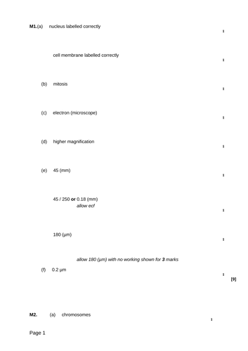 NEW GCSE Biology - B2 Cell Division | Teaching Resources
