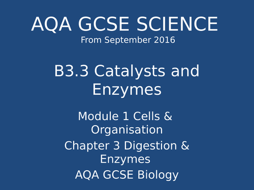 NEW GCSE Biology - B3 Digestion and Enzymes | Teaching Resources