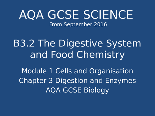 NEW GCSE Biology - B3 Digestion and Enzymes | Teaching Resources