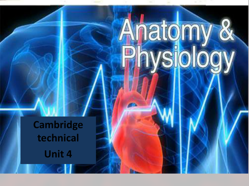 UNIT 4: Anatomy and physiology for health and social care ...