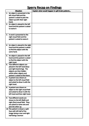 LATERALISATION & SPLIT BRAIN - Full Lesson - AQA Psychology ...