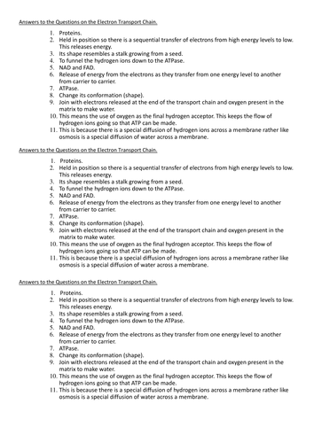 Respiration . A level Biology. Electron Transport Chain Activities ...