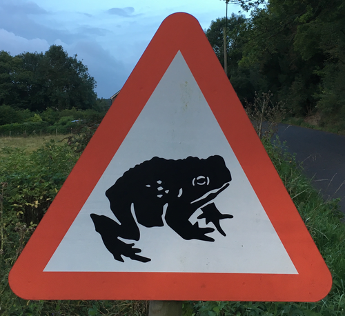 Signs and Signposts | Teaching Resources