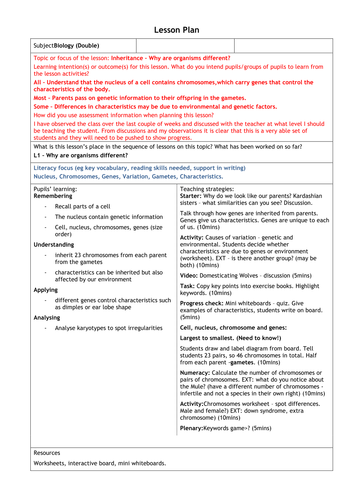 Science Bumper Bundle | Teaching Resources