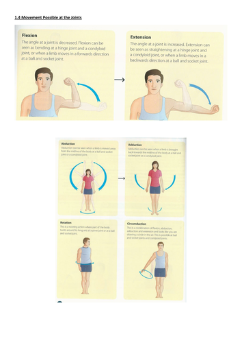Movement at the Joints | Teaching Resources