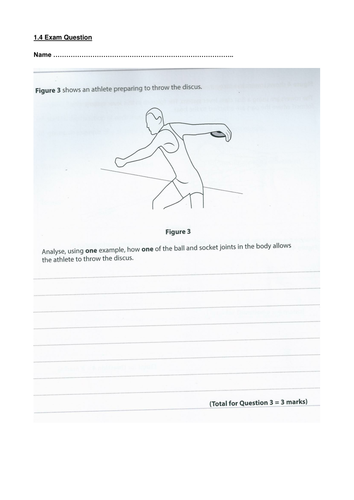 Movement at the Joints | Teaching Resources