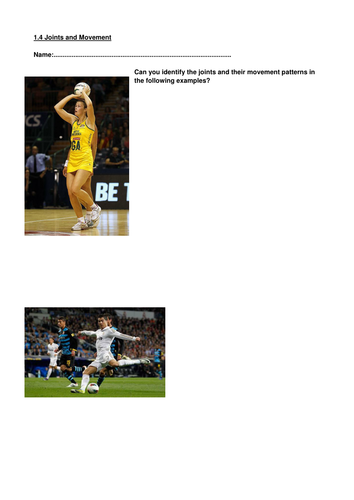 Movement at the Joints | Teaching Resources