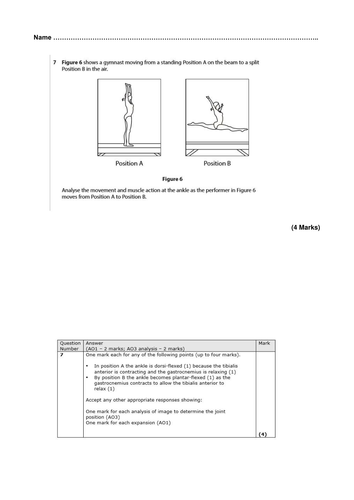 Movement at the Joints | Teaching Resources