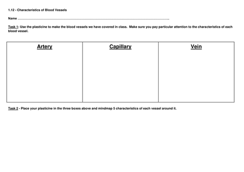The Blood Vessels | Teaching Resources