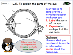 The Human Eye - a Primary Science Lesson | Teaching Resources