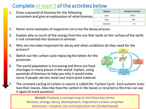 Revision on pyramids of biomass and carbon cycle | Teaching Resources