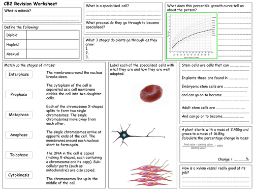 Edexcel Combined Science Biology 1 Revision Worksheets | Teaching Resources