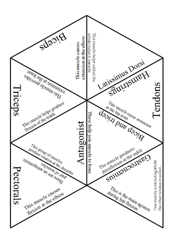 GCSE PE 9-1 AQA Muscles of the body Tarsia Triangle Puzzle | Teaching ...