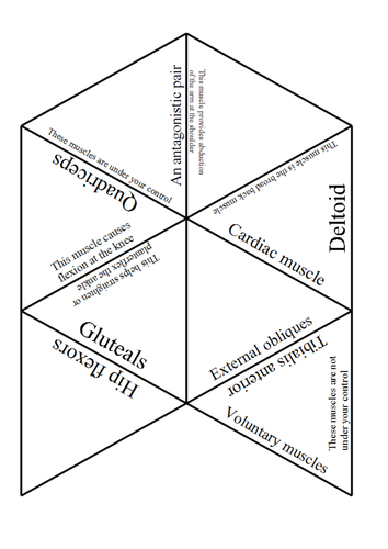 GCSE PE Edexcel 9-1 The role of muscles Tarsia Triangle Puzzle ...
