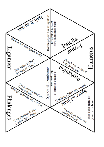 GCSE PE OCR 9-1 Skeletal system Tarsia Triangle Puzzle | Teaching Resources