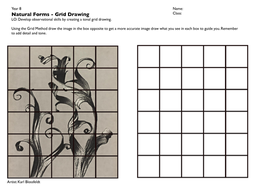 Cover lesson- Natural Forms Grid Drawing | Teaching Resources